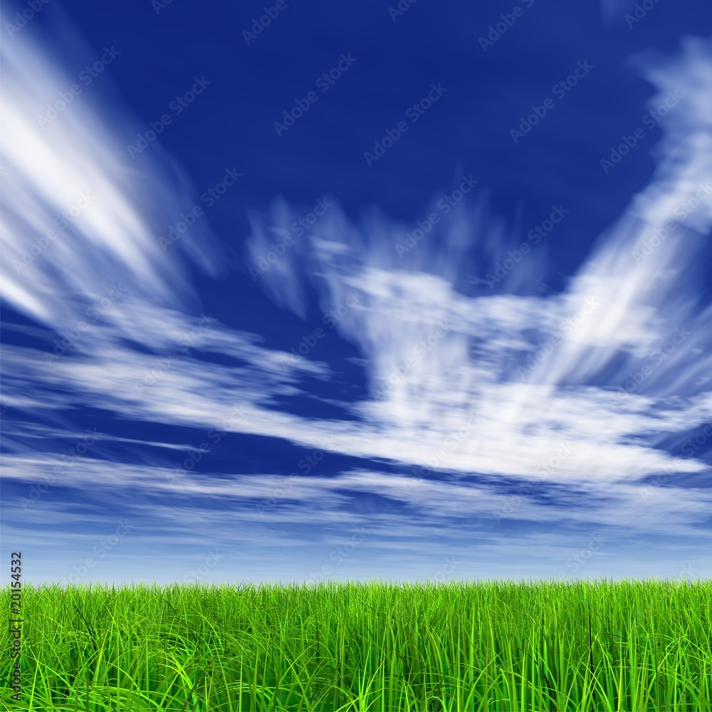 High resolution grass and sky background wall mural wallpaper ...