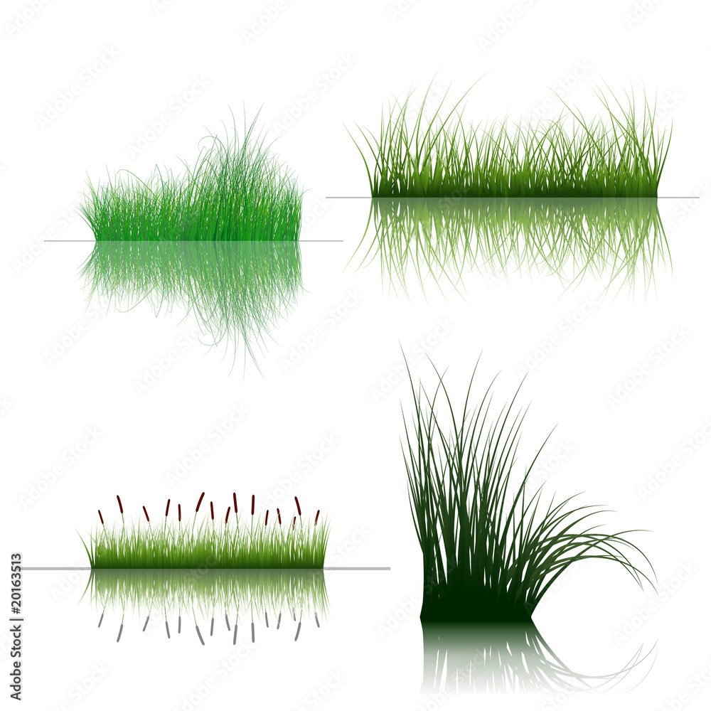 grass on water Stock Vector | Adobe Stock