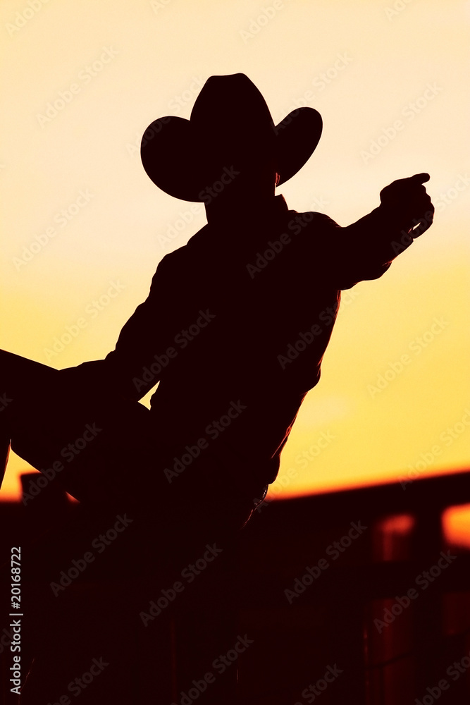 cowboy rodeo silhouette Stock Photo | Adobe Stock