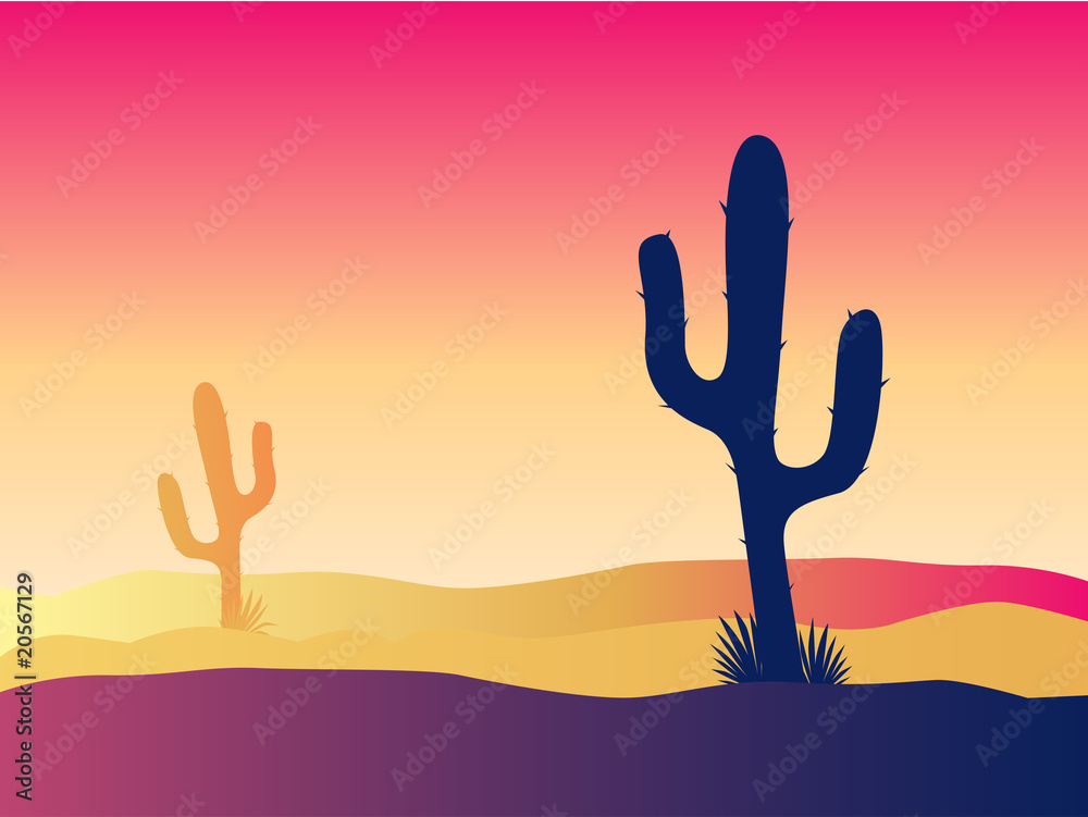 Cactus desert sunset. VECTOR CARTOON ILLUSTRATION. Stock Vector | Adobe ...