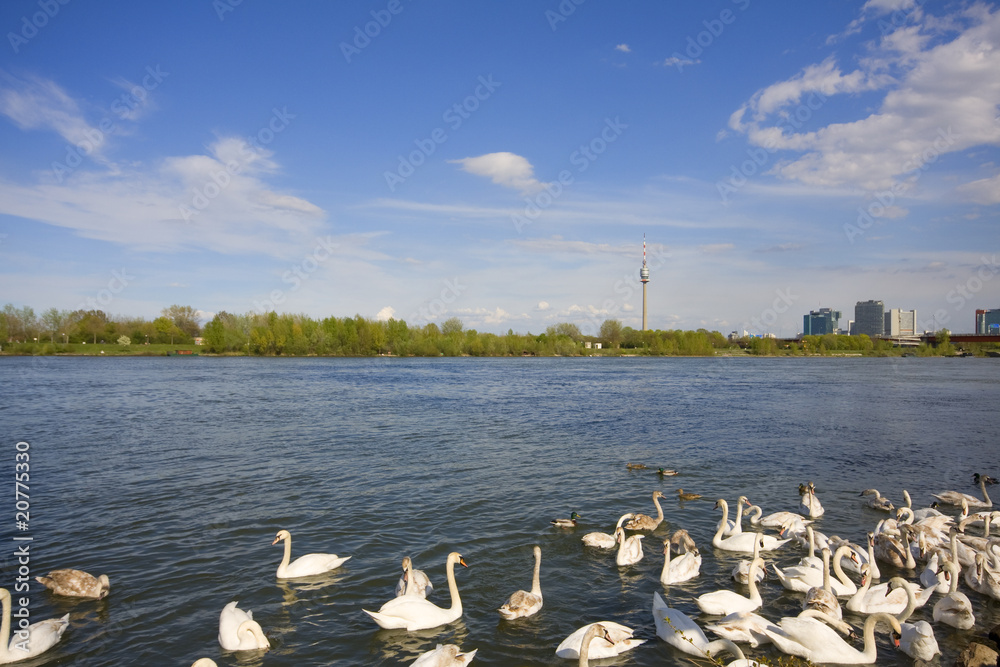 Donauinsel Wien Stock Photo | Adobe Stock