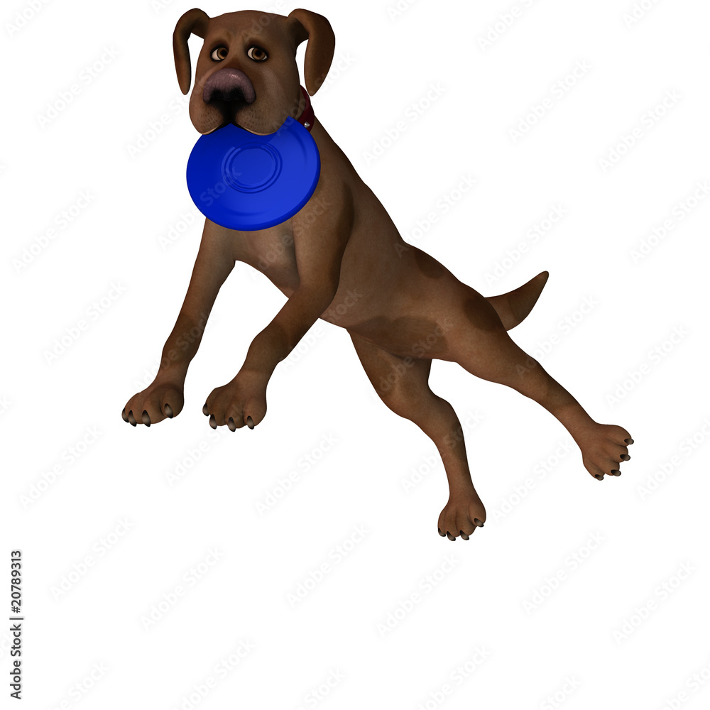 Cartoon Dog - Catching a Frisbee Stock Illustration | Adobe Stock