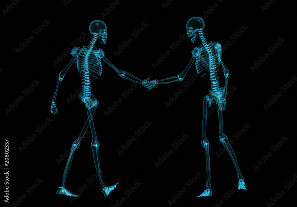 x-ray skeleton handshake Stock Illustration | Adobe Stock