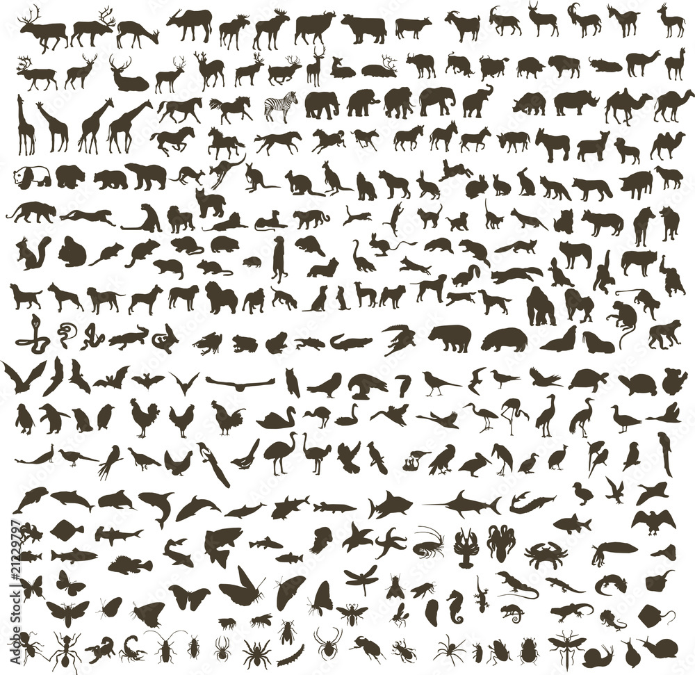 300 silhouettes of animals Stock Vector | Adobe Stock