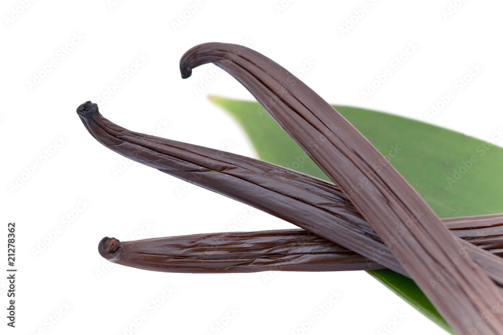 Gousses de vanille fraîche Stock Photo | Adobe Stock