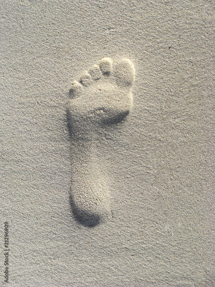 impronta sulla spiaggia di Watamu Stock Photo | Adobe Stock