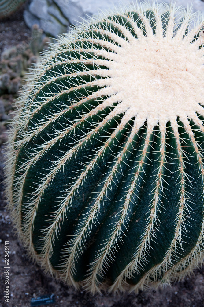 Nature Stock Photo | Adobe Stock