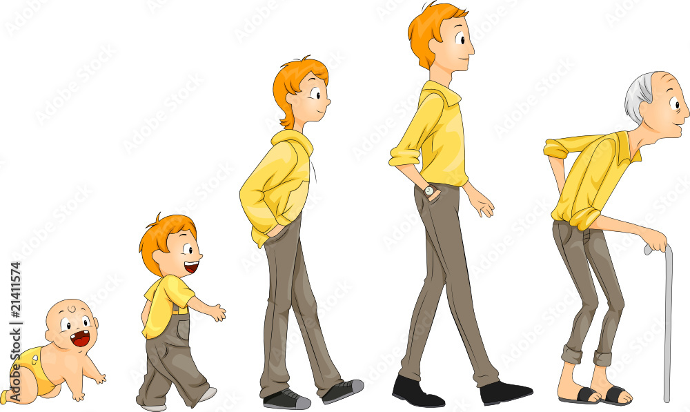 Man's Life Stages Stock Vector | Adobe Stock