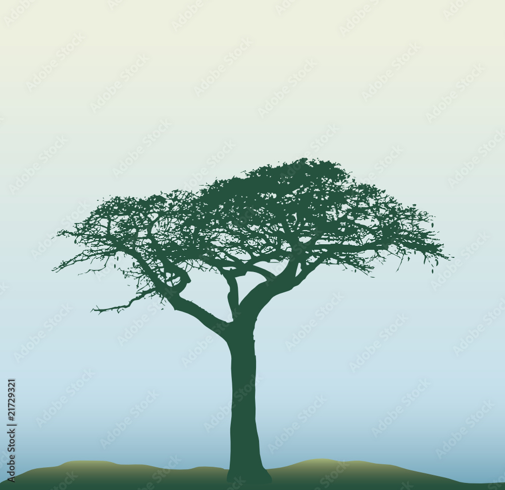 baobab tree Stock Vector | Adobe Stock