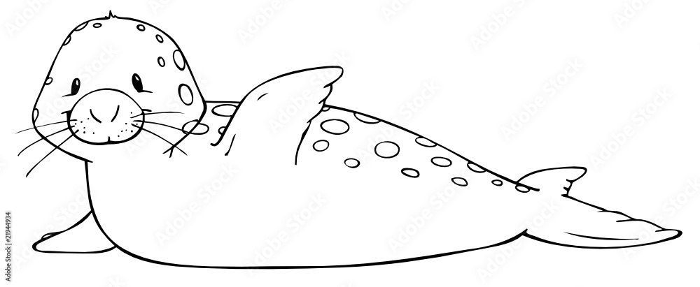 Robbe, Seehund Stock-Vektorgrafik | Adobe Stock