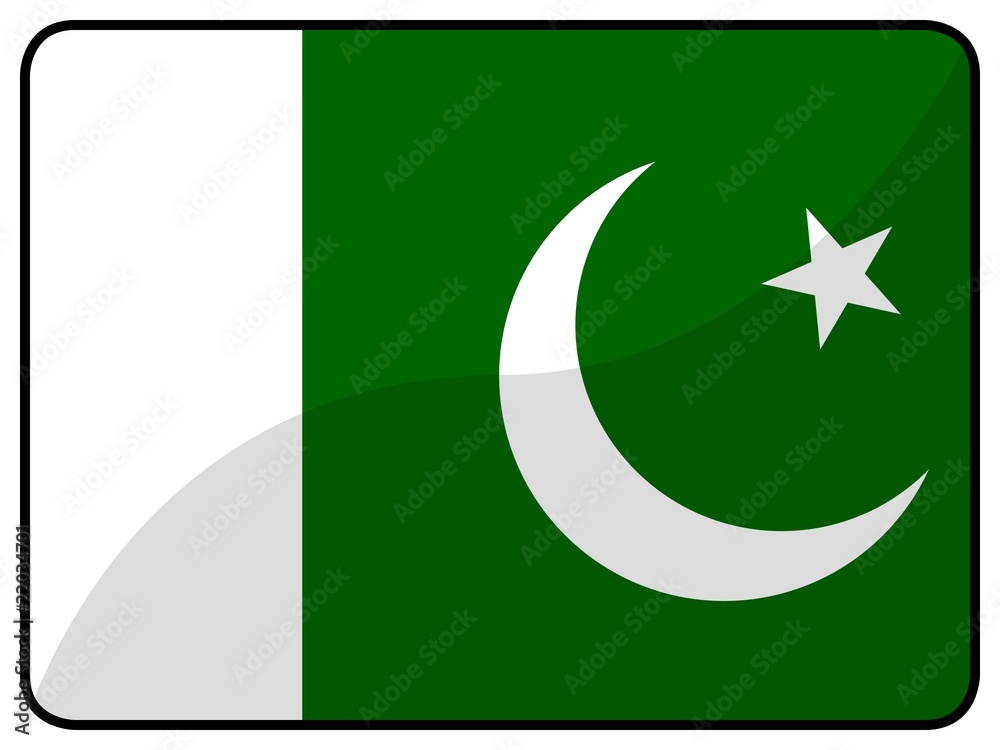 drapeau pakistan flag Stock Illustration | Adobe Stock