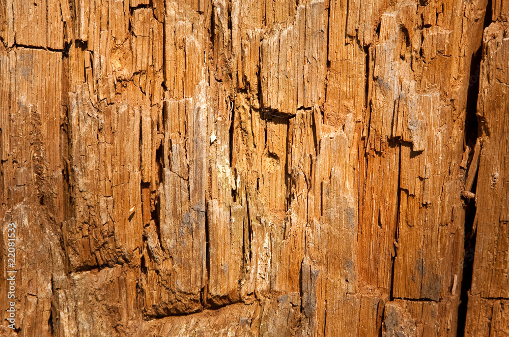 Holz Stock Photo | Adobe Stock