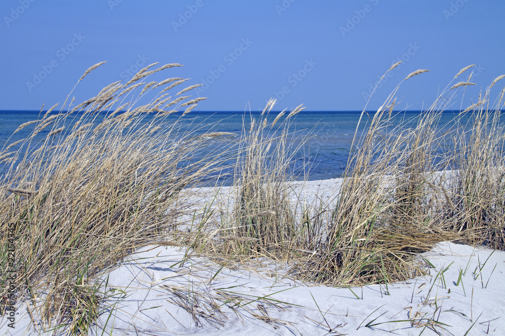 Am Strand Stock Photo | Adobe Stock