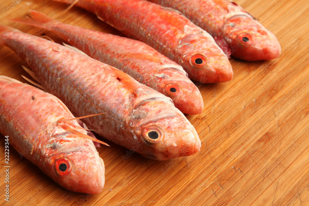 salmonetes Stock Photo | Adobe Stock