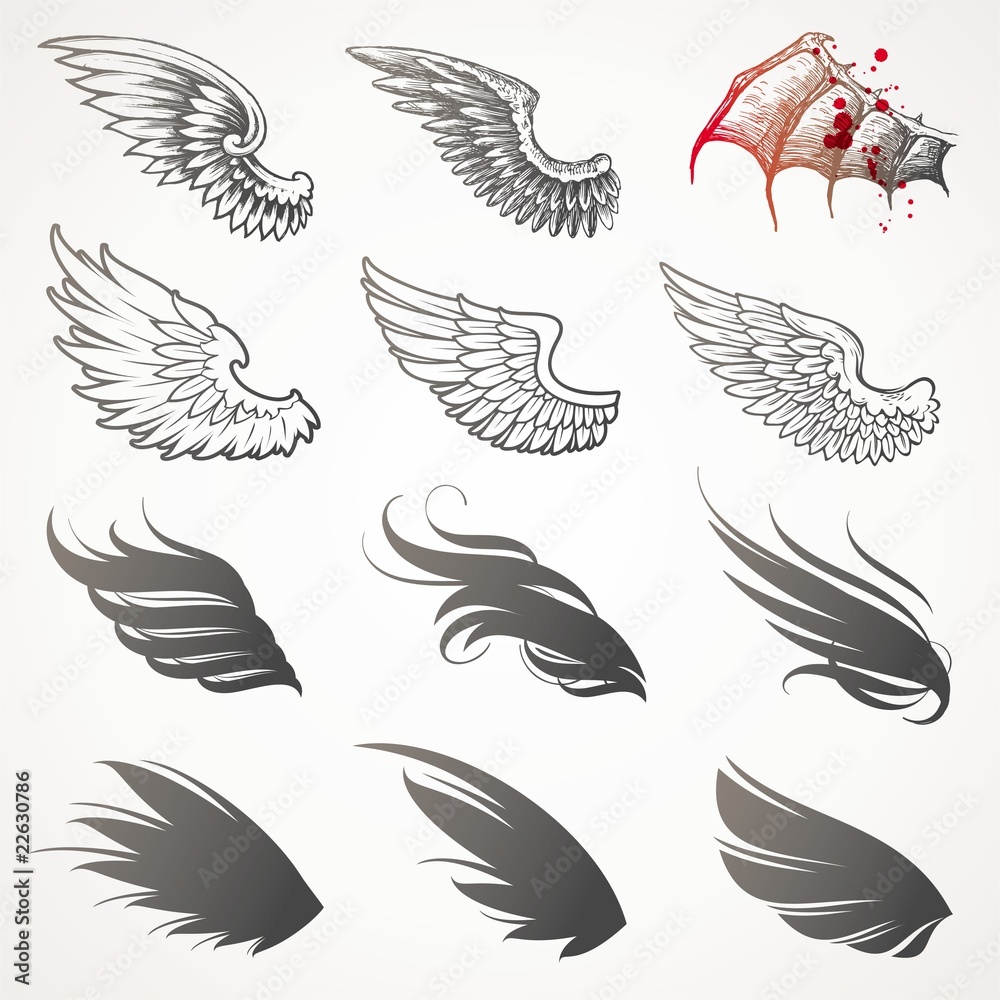 Vector set of wings Stock Vector | Adobe Stock