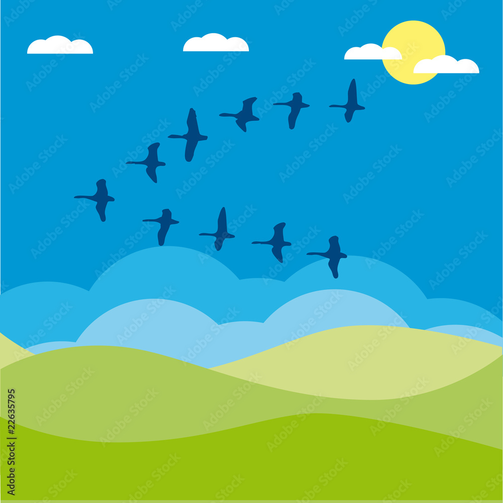 Birds migratory vector illustration cartoon Stock Vector | Adobe Stock