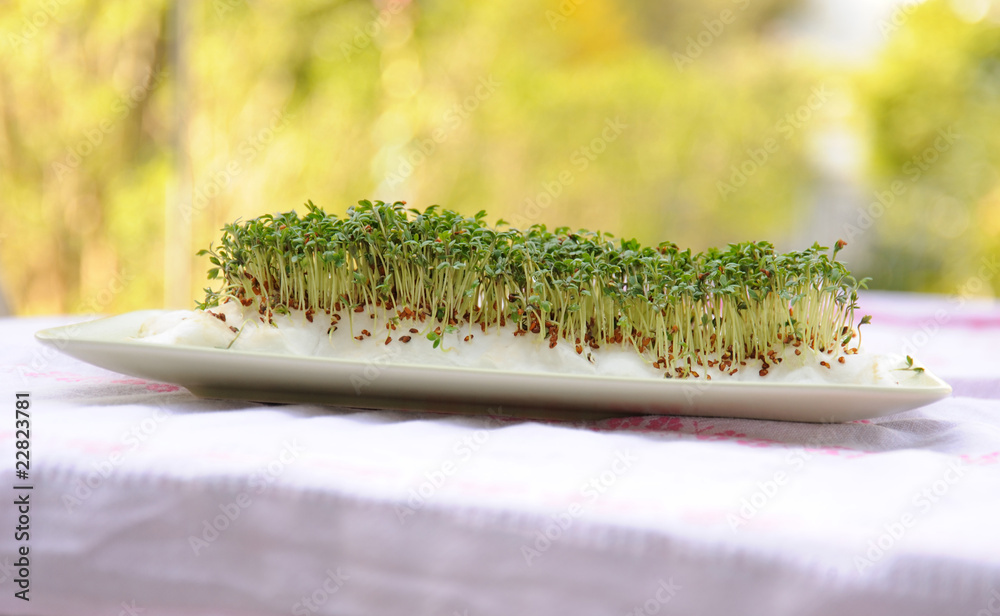 Kresse Stock Photo | Adobe Stock