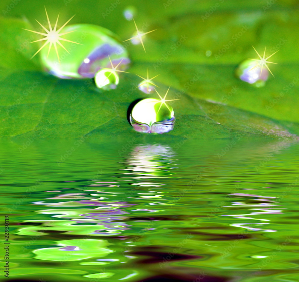 Wassertropfen Stock Photo | Adobe Stock