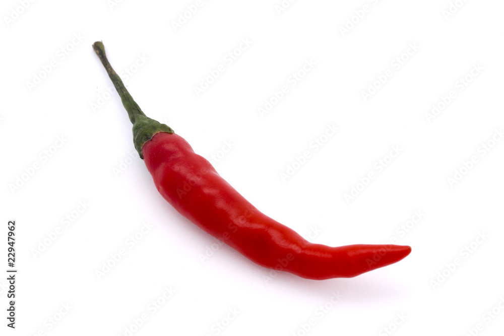 birds eye chilli over white Stock Photo | Adobe Stock