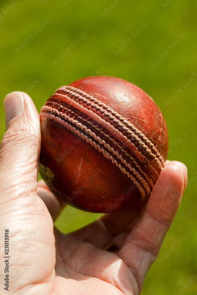 Cricket Ball Inside