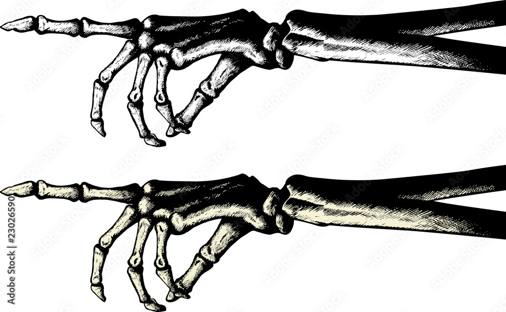 Ink drawing of a pointing skeleton hand Stock Vector | Adobe Stock