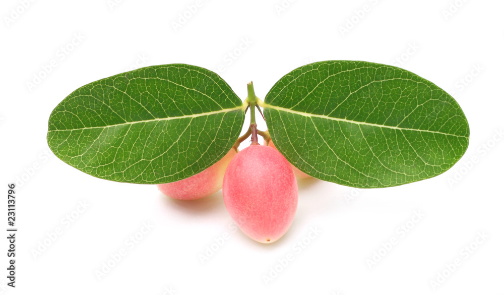 Crimson fruit of south asia known as koromcha Stock Photo | Adobe Stock