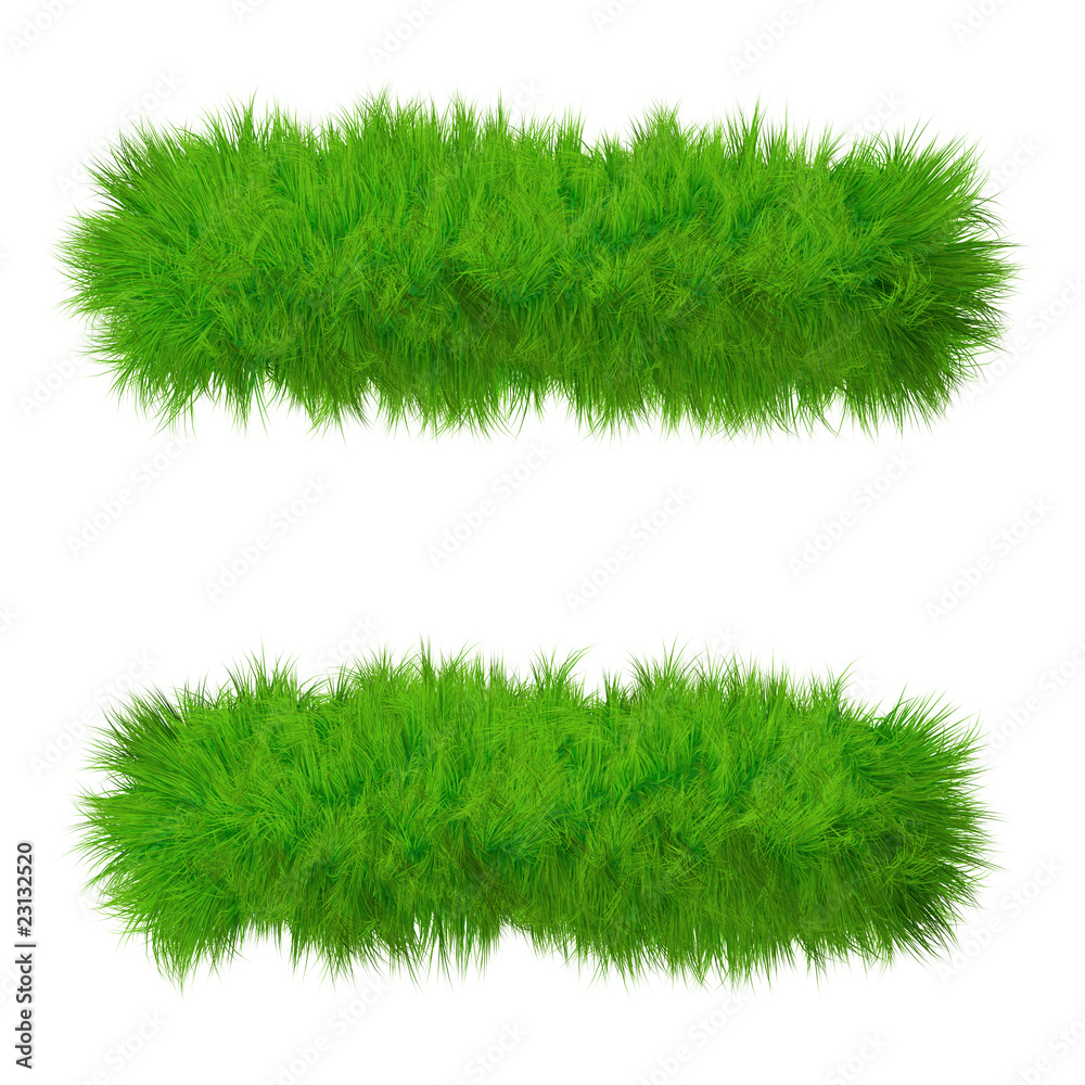 High resolution conceptual grass symbol isolated on white Stock ...