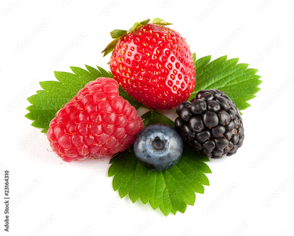 Erdbeere - Brombeere - Preiselbeere - Himbeere Stock-Foto | Adobe Stock