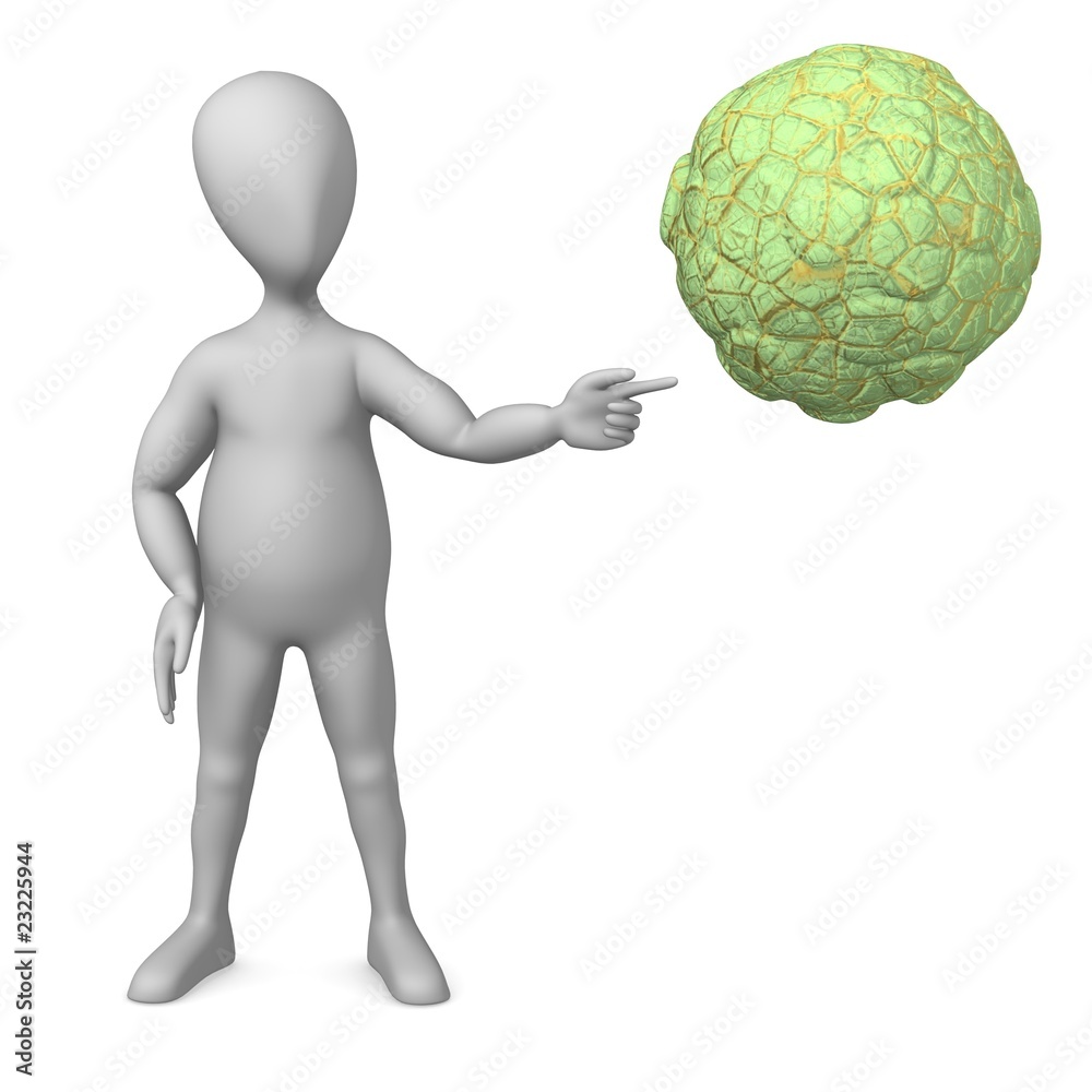 morula Stock Illustration | Adobe Stock