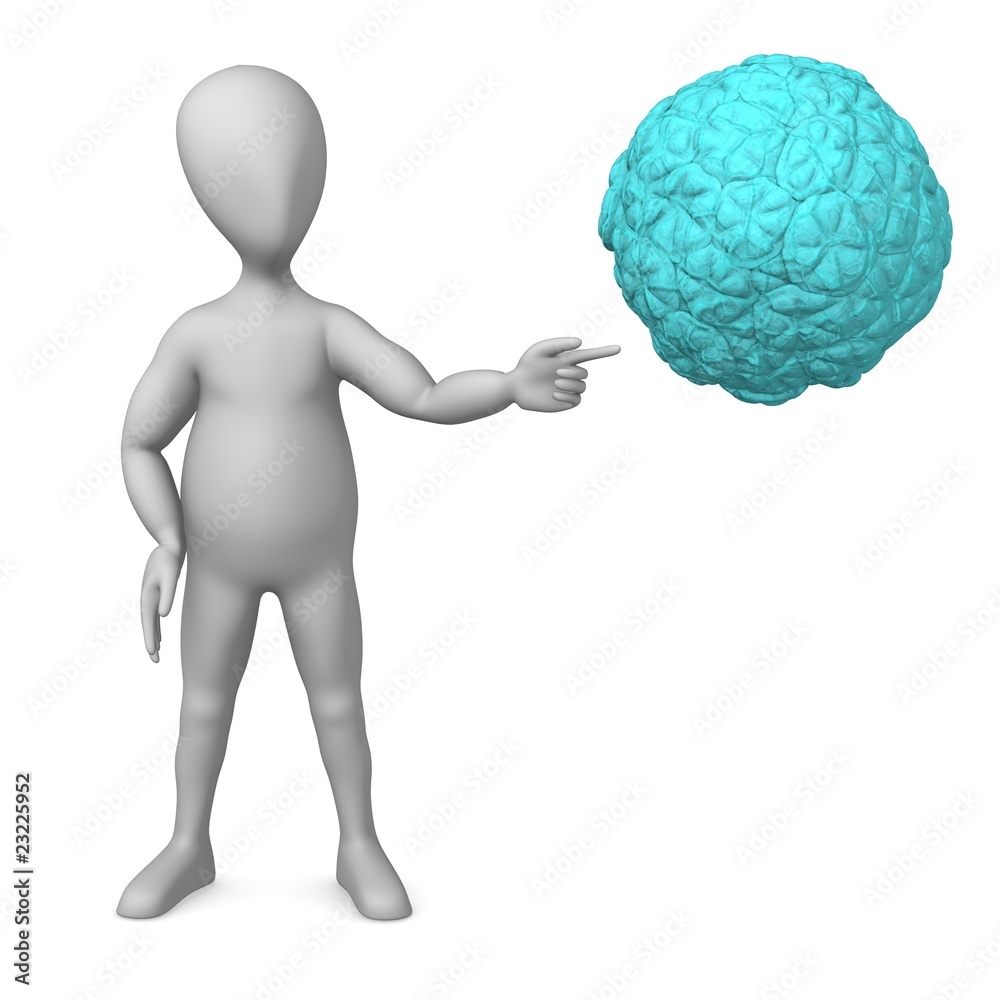 morula Stock Illustration | Adobe Stock