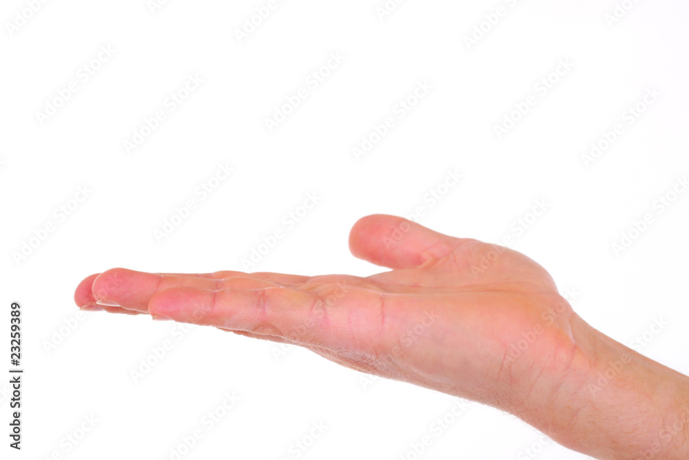 Flache Hand Stock-Foto | Adobe Stock