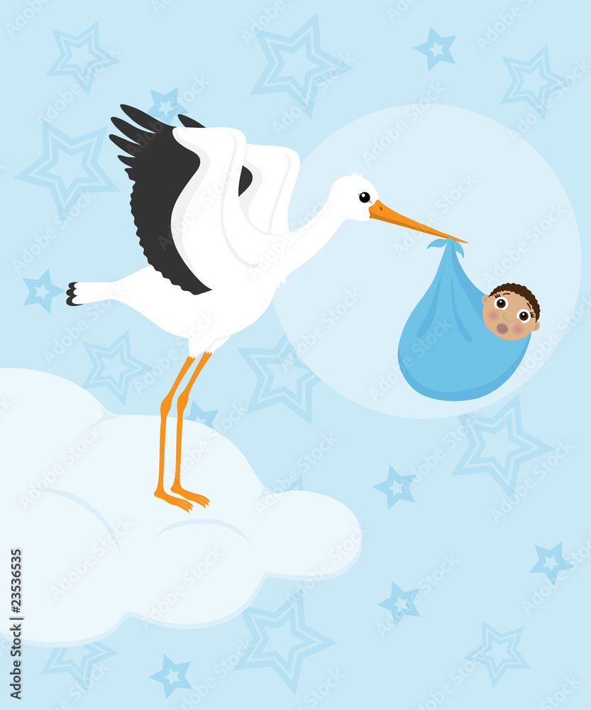 Stork Carrying Baby Boy