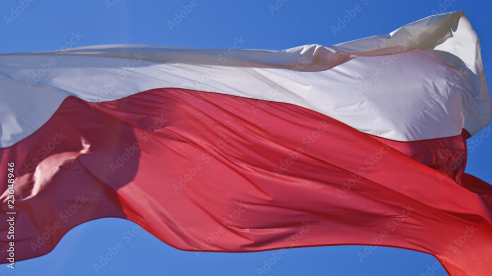 Polish flag Stock Photo | Adobe Stock