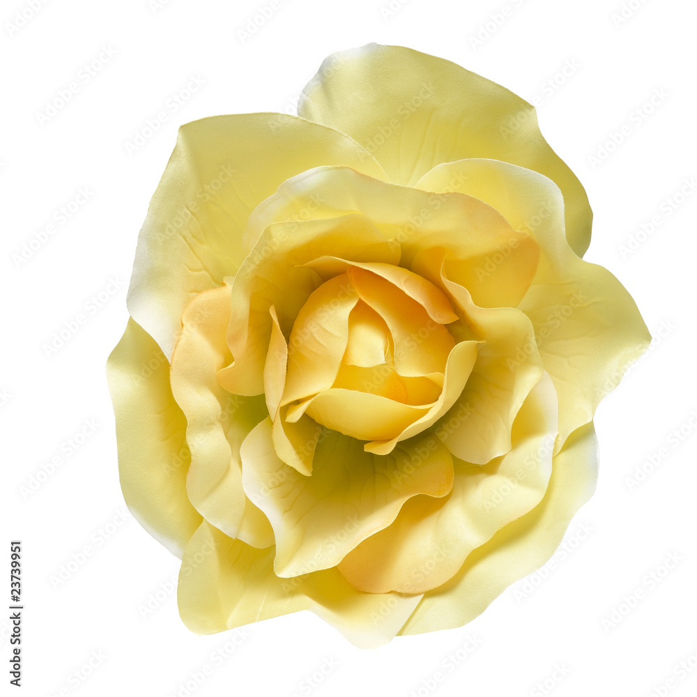 Fondo floral Stock Photo | Adobe Stock