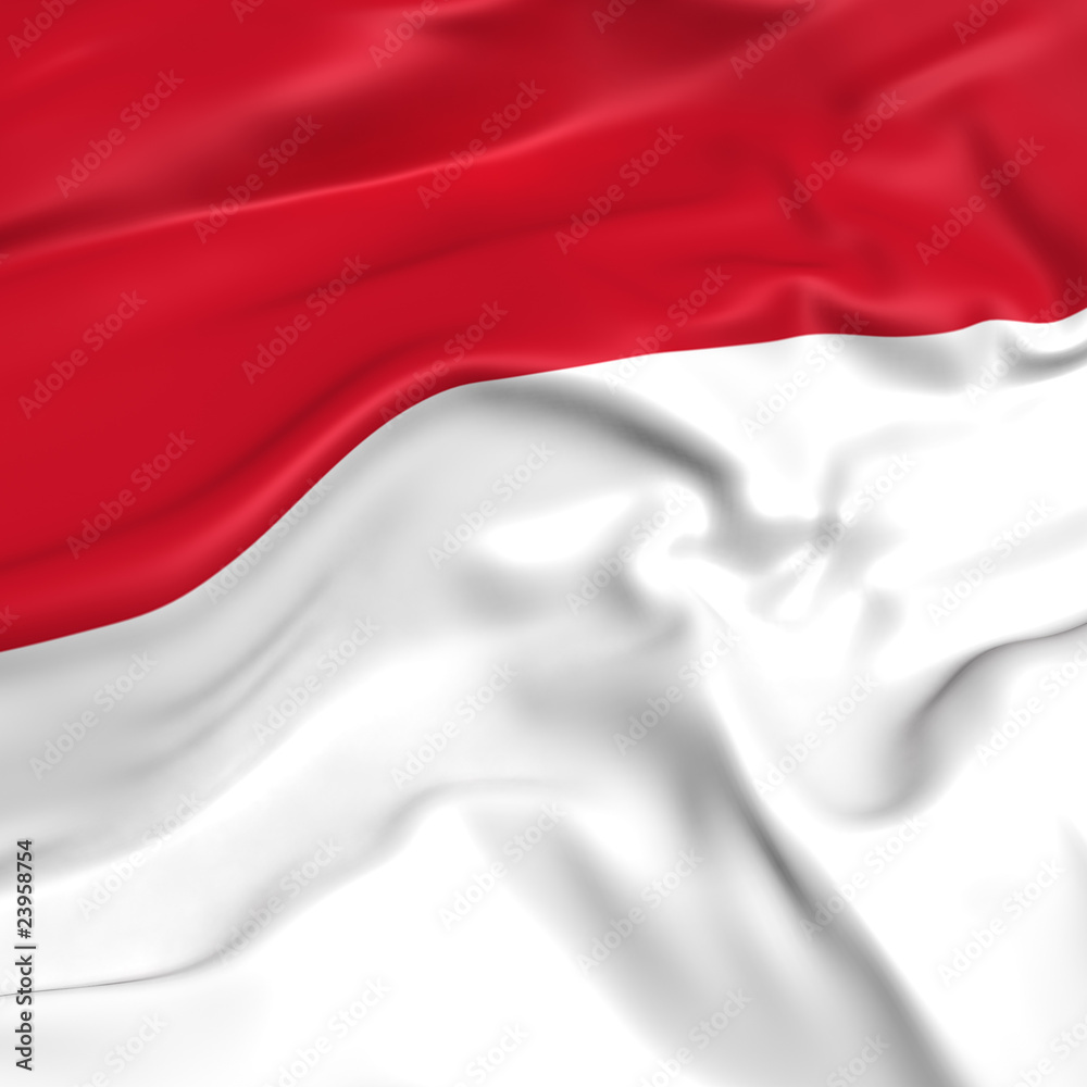 Indonesia flag picture Stock Illustration | Adobe Stock