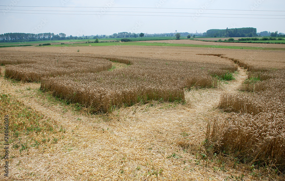 crop circle in Poirino (Turin, Italy) from the ground Stock Photo ...