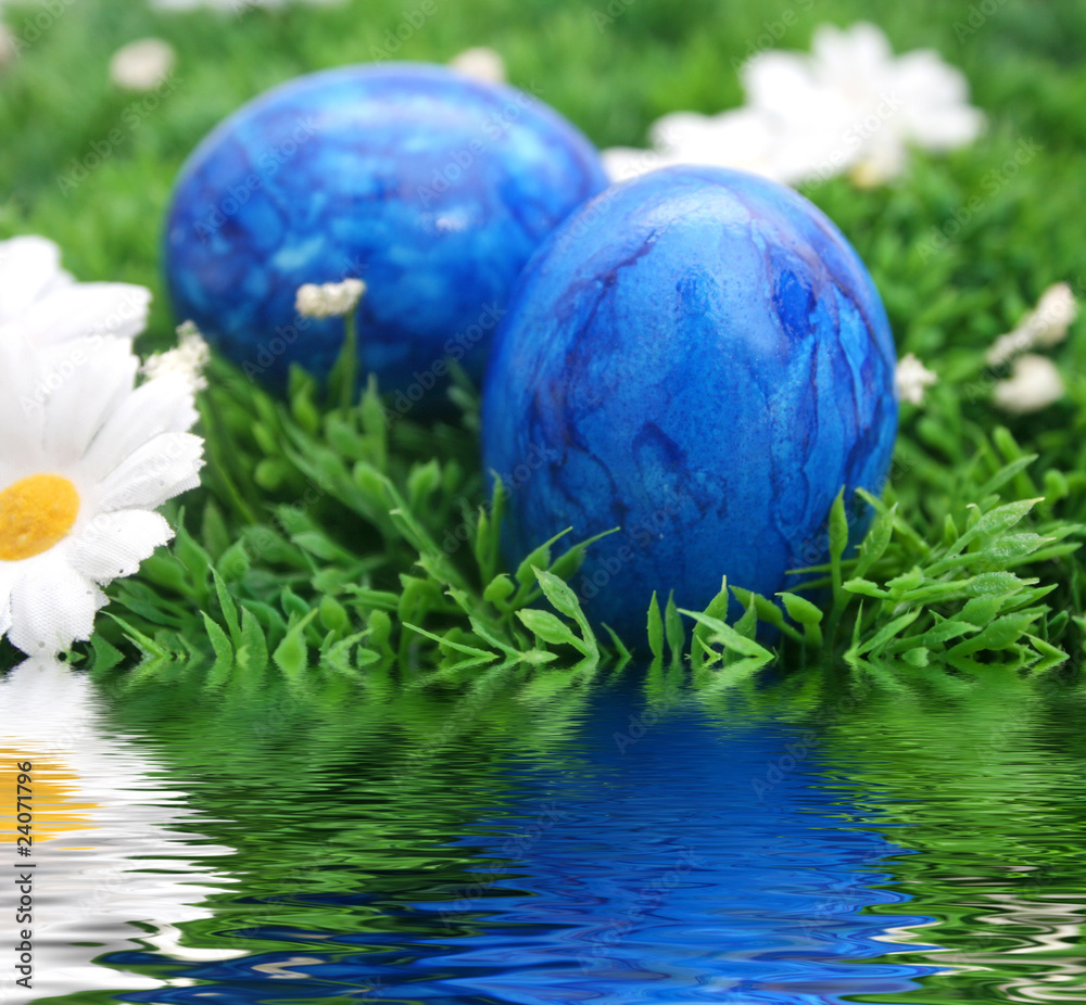 bunte eier Stock-Foto | Adobe Stock