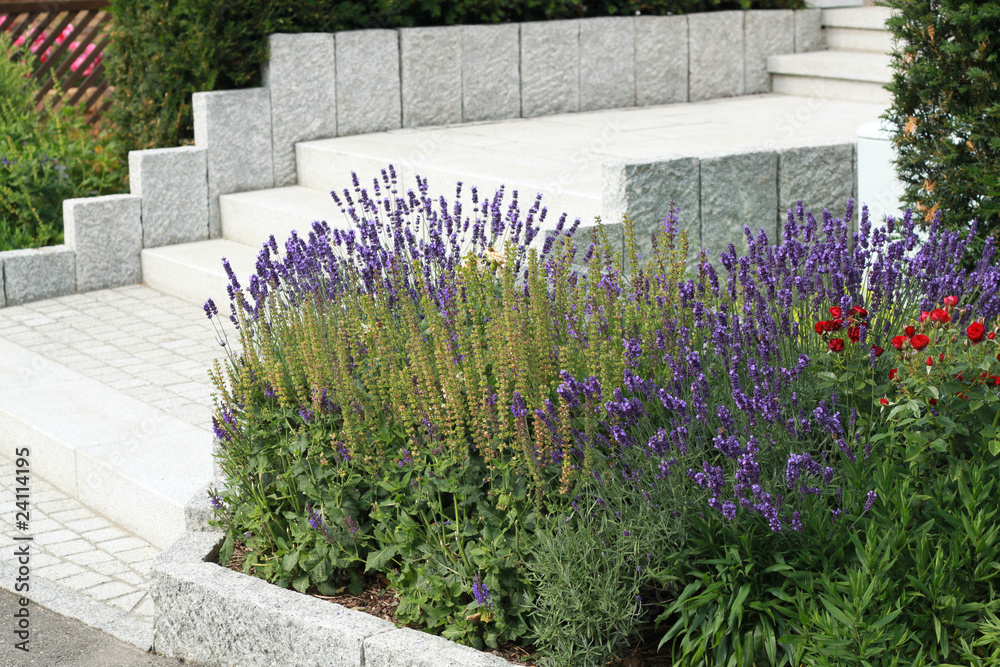 Garten Stock Photo | Adobe Stock