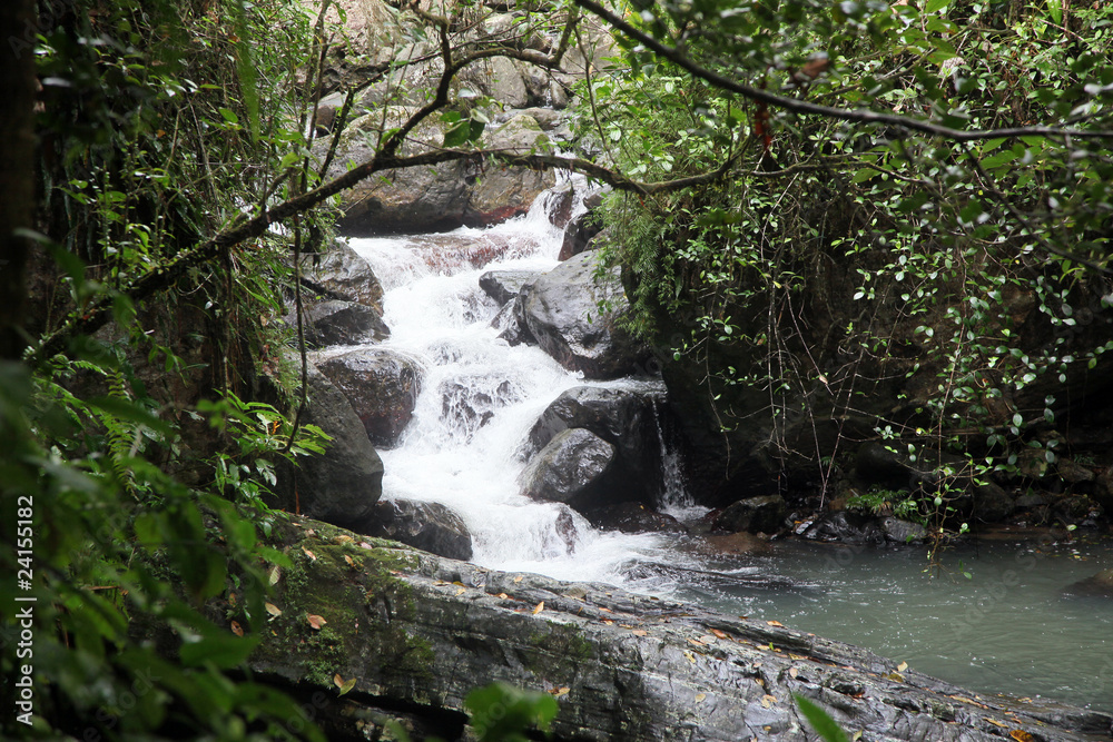 Rio de la Mina im Regenwald des El Yunque Nationalpark.Fahrt zu den La ...