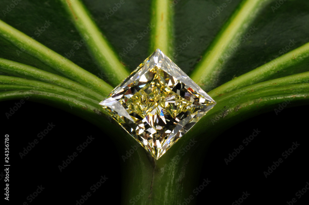 echter Diamant in der Natur Stock-Foto | Adobe Stock
