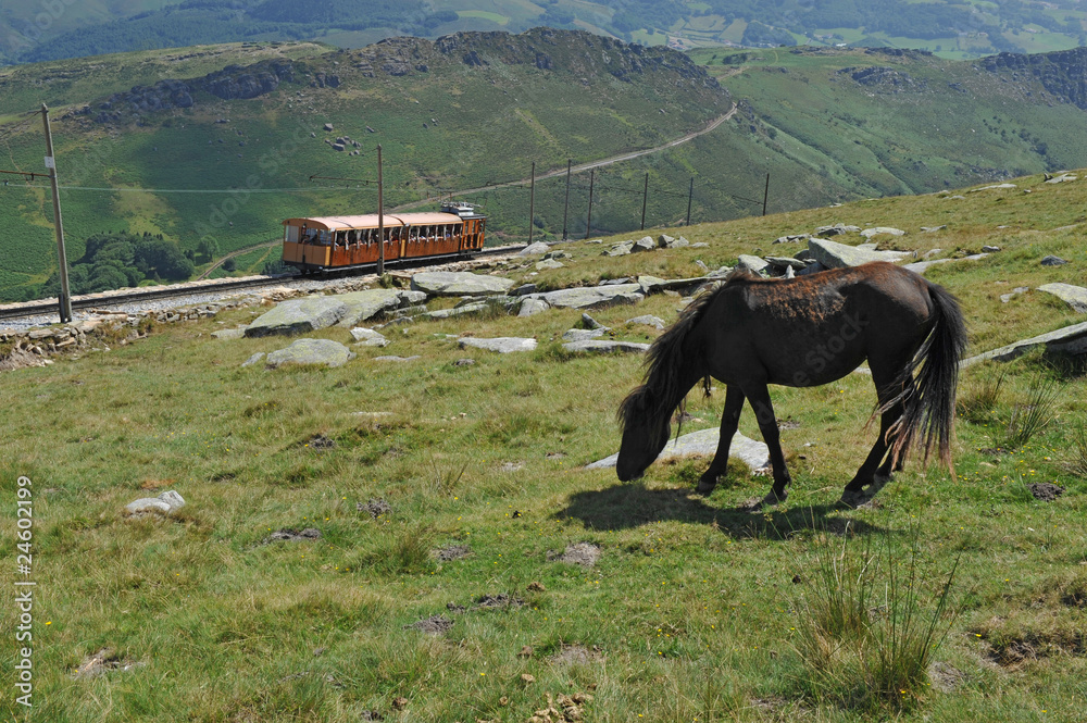 Petie train de la Rhune et Pottok Photos | Adobe Stock