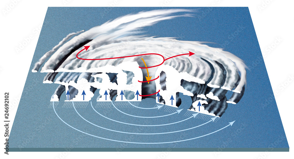 Structure Of Cyclones