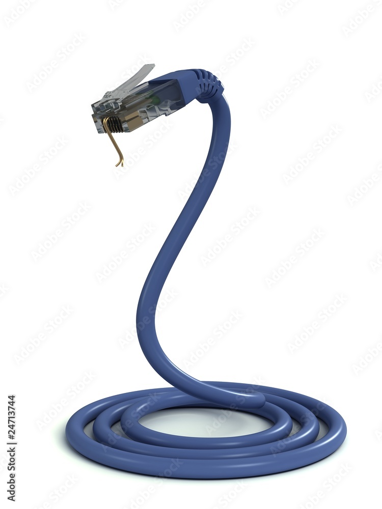 ethernet cable - snake Stock Illustration | Adobe Stock