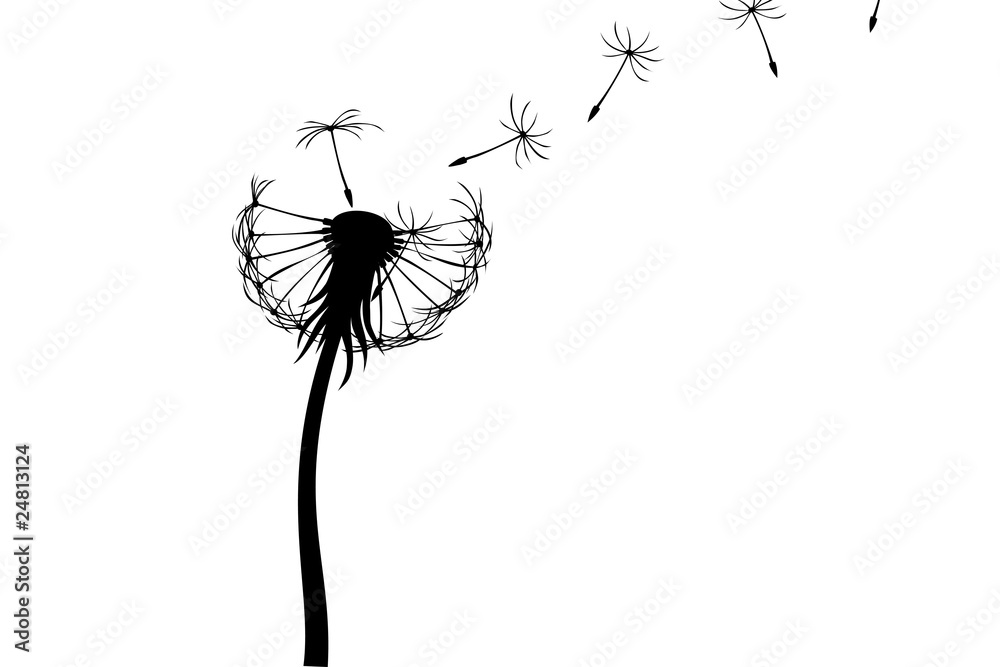 Pusteblume Stock-Illustration | Adobe Stock