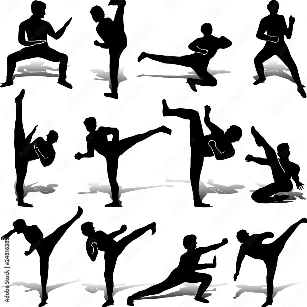 Various karate poses silhouettes vector de Stock | Adobe Stock