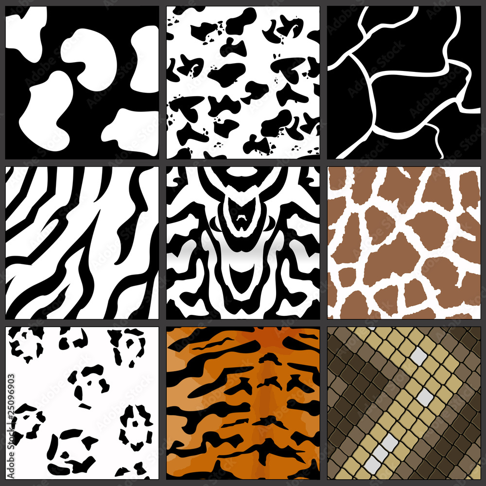animal textures Stock Vector | Adobe Stock