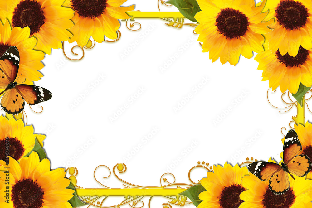 Sunflower Page Border