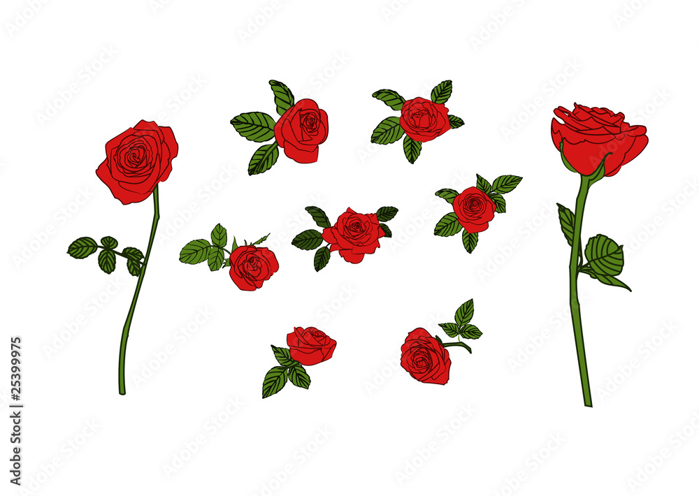 9 red roses. Vector illustration. Stock Vector | Adobe Stock