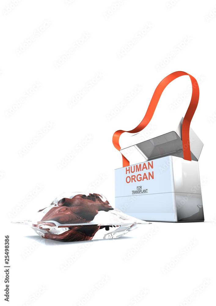 HUMAN ORGAN Stock-Illustration | Adobe Stock