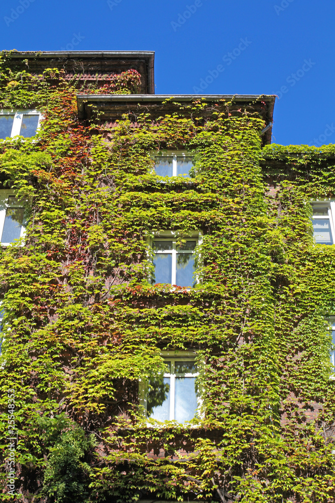 Grüne Fassade Stock-Foto | Adobe Stock